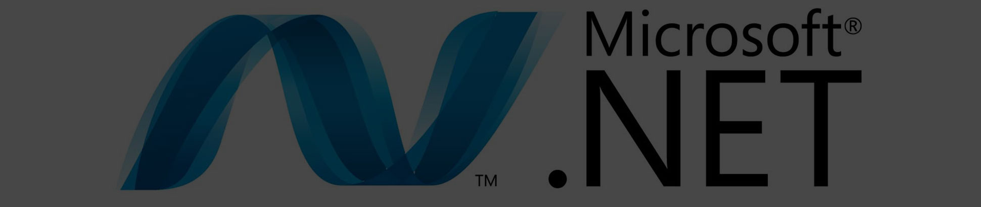 Microsoft .NET software development